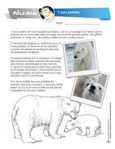 L'ours polaire - LaFeuilleMobile.com